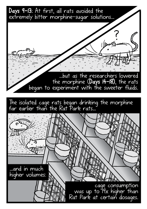 Comic about the Rat Park drug addiction experiment / Boing Boing