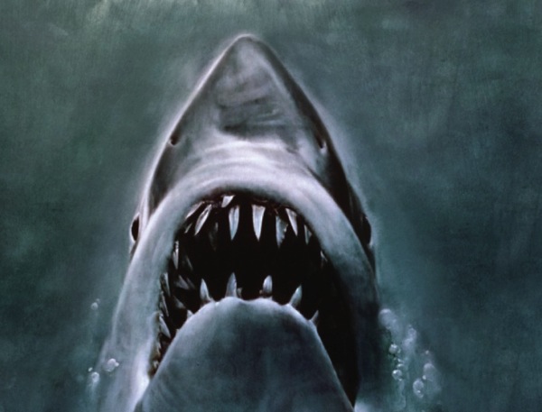 Seeking: "Colossal cannibal great white shark" / Boing Boing