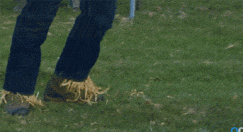 Shin Kicking is the best sport / Boing Boing