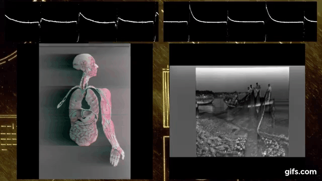 How to decode the images on the Voyager Golden Record / Boing Boing