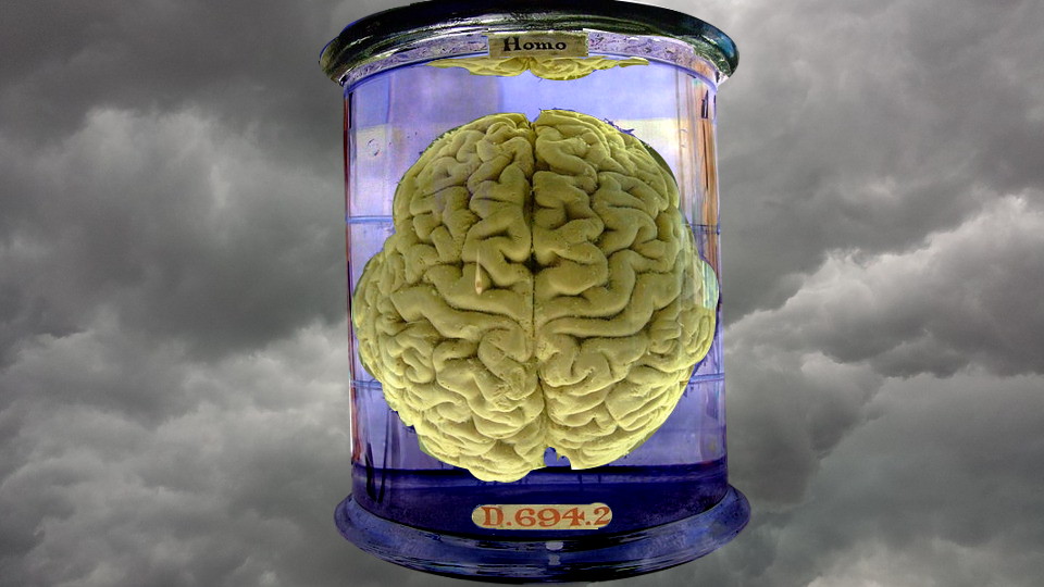 Some Thoughts On Whether Intelligence Is Linked To Anxiety And Depression Boing Boing