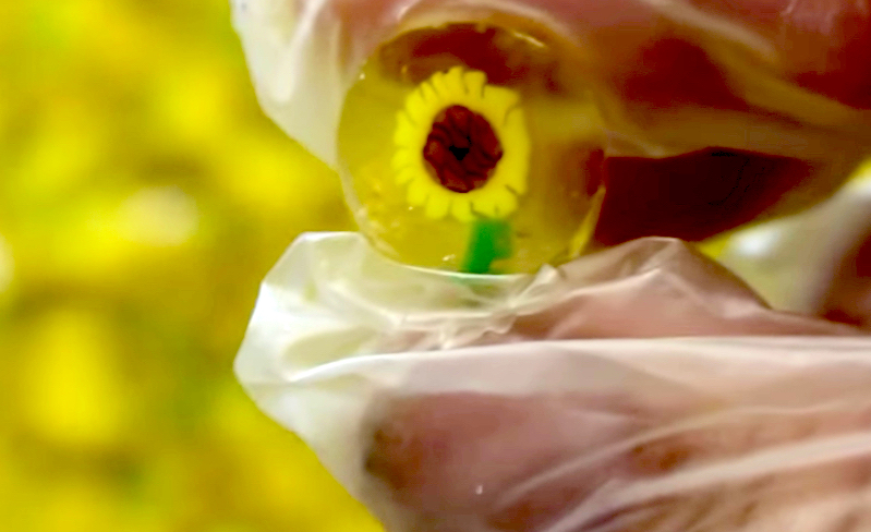 Watch how to make hard candy that has a sunflower inside / Boing Boing