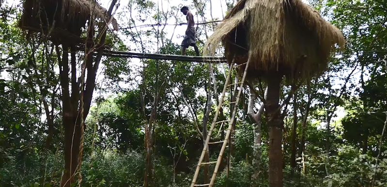 Primitive Technology / Boing Boing