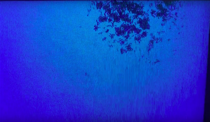 Guy finds ant colony living behind his television screen. Any ...