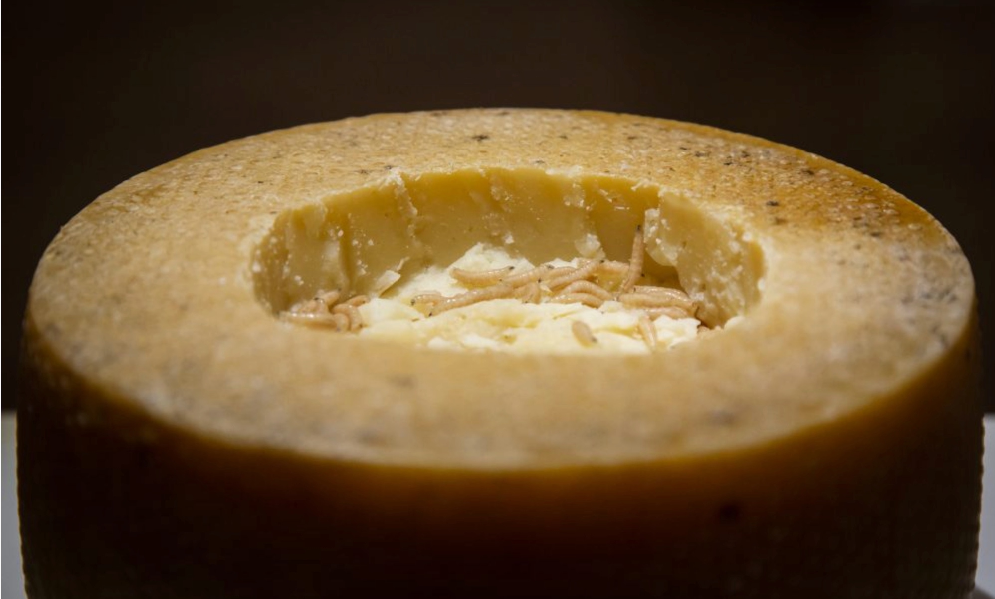 Disgusting Food Museum Coming To Los Angeles Boing Boing