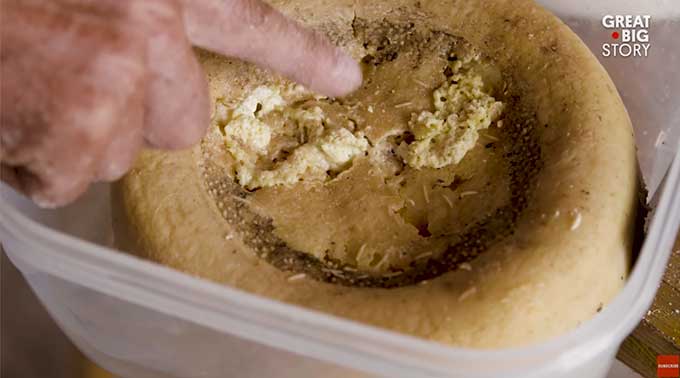 Watch - cheese infested with live maggots is a delicacy / Boing Boing