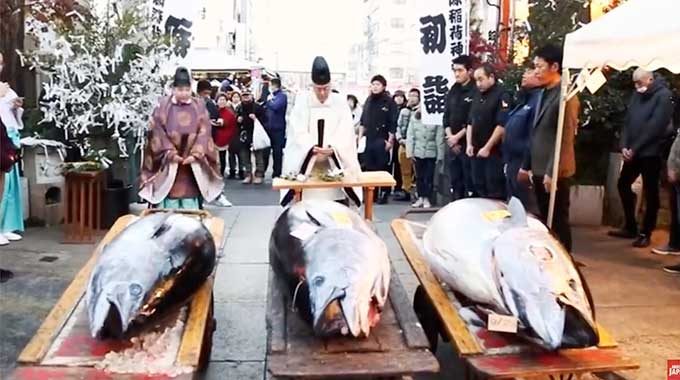 A single tuna fish sold for $3.1 million / Boing Boing