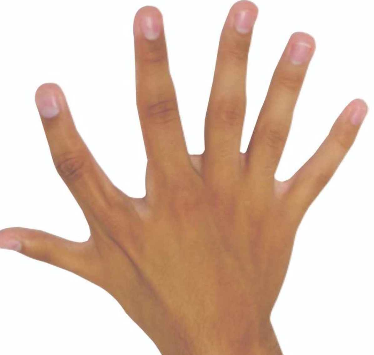 robots / Boing Boing