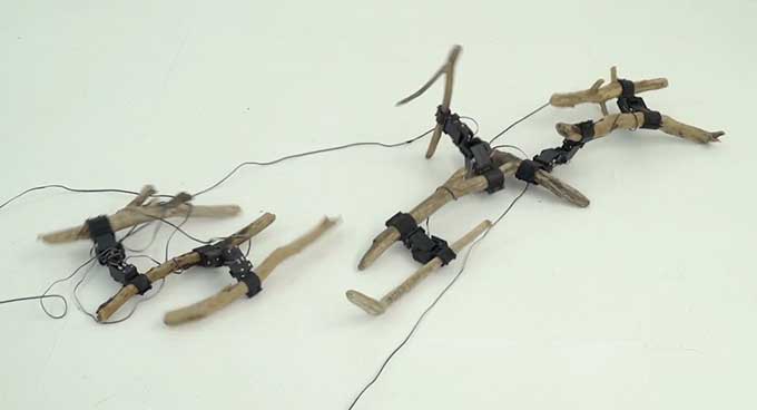 Robots made from tree branches learns how to walk / Boing Boing