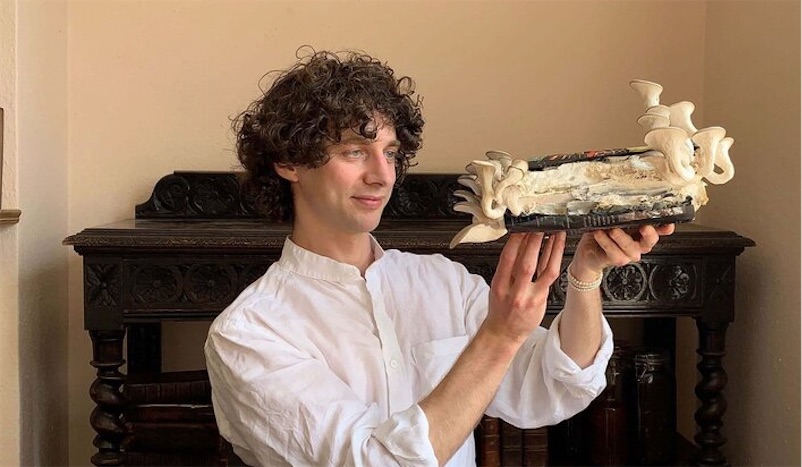 Mycologist Merlin Sheldrake and the megascience of mushrooms / Boing Boing